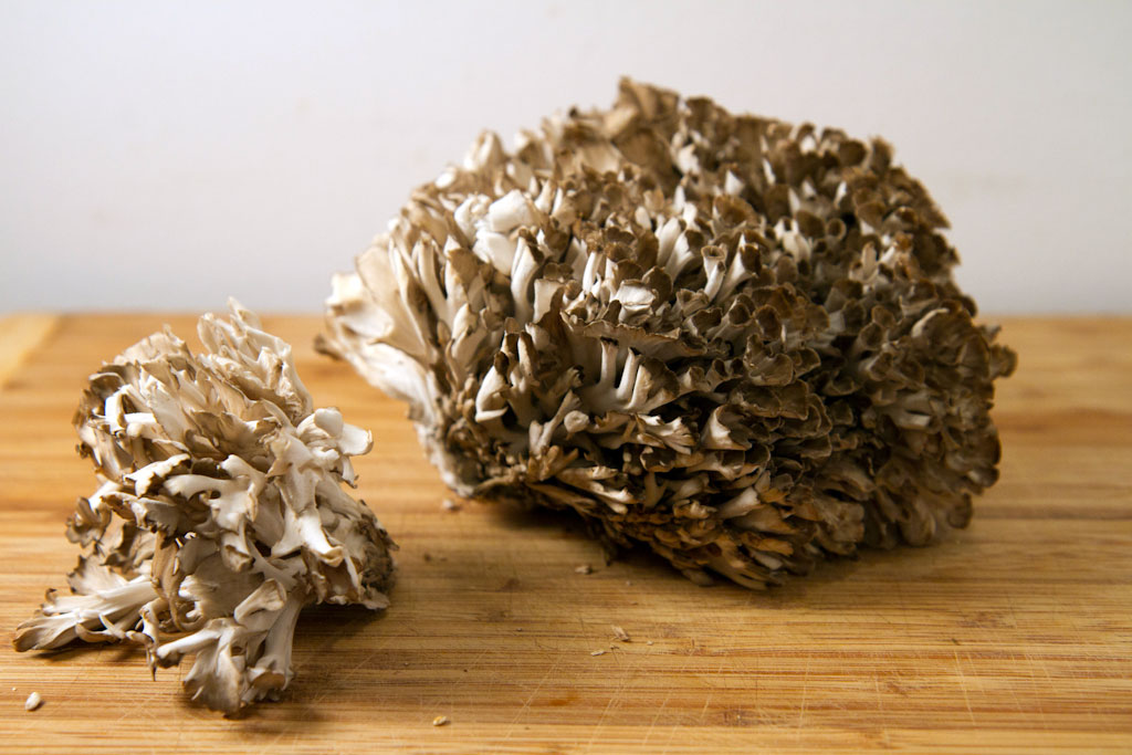 Fish Dinner for 2, Featuring Celery Root! | Operation Gastronomia